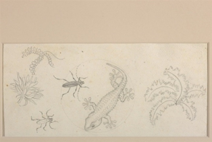 Castrovalva Preliminary Drawing by M.C Escher on artnet