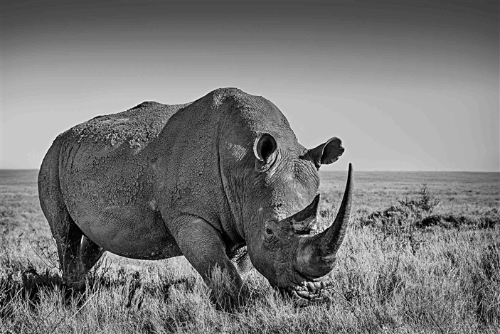 El Chapo by Michel Ghatan on artnet