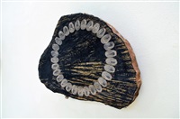 Richard Long | Artnet