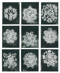 Terry Winters | Artnet