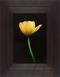 Michael Gregory | Artnet