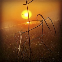 Keith Carter | Artnet