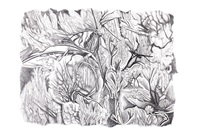 Jan Aronson | Artnet