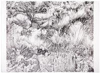 Jan Aronson | Artnet