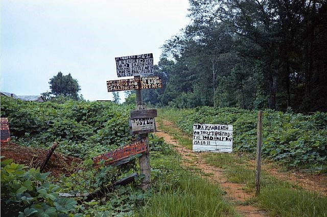 Signs in Landscape, Near Marion, Alabama, 1975 by William Christenberry ...