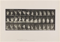 Eadweard Muybridge | Artnet