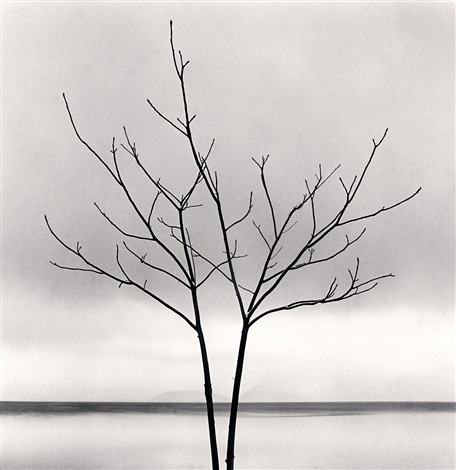 Bare Tree, Toya Lake, Hokkaido, Japan by Michael Kenna on artnet