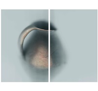 Ann Hamilton | Artnet