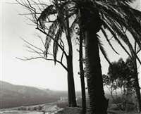 Robert Adams | Artnet
