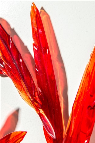 Fire Fly - large, red, translucent, feathers, solid glass wall ...