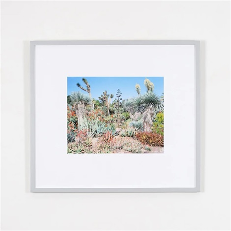 Aloe Principis by Scott McFarland on artnet