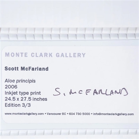 Aloe Principis by Scott McFarland on artnet