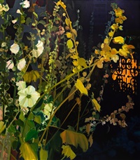 Kate Bright | Artnet