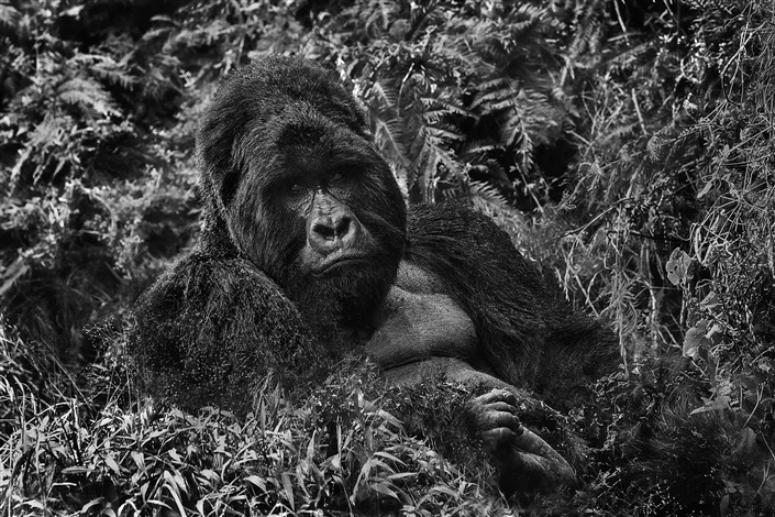 Humpty Dumpty by Michel Ghatan on artnet