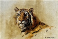 David Shepherd | Artnet