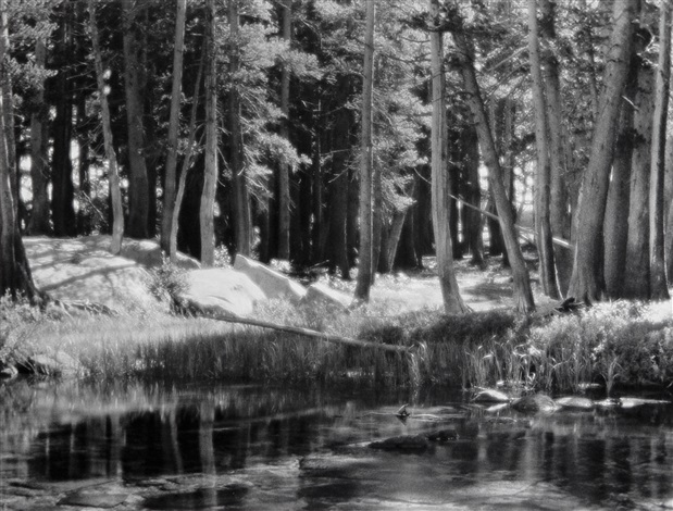 Forest and Stream, Lyell Fork of the Merced River, Yosemite National ...