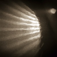 Susan Hacker Stang | Artnet