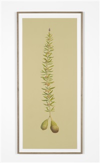 David Thorpe | Artnet