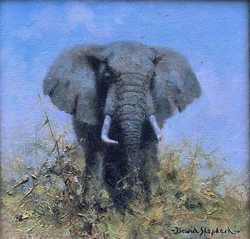 Elephant by David Shepherd on artnet