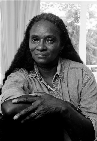 Barbara Chase-Riboud by Chester Higgins Jr. on artnet