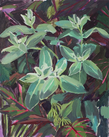 Euphorbia with Hibiscus by Heather Goodchild on artnet