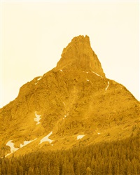 David Benjamin Sherry | Artnet