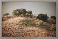 Kate Breakey | Artnet