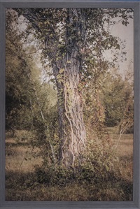 Kate Breakey | Artnet