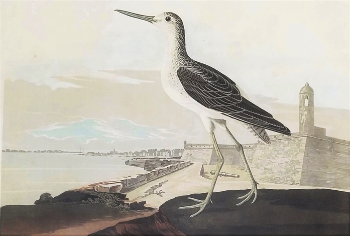 Greenshank View of St. Augustine Spanish Fort East Florida by John ...