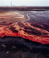 Edward Burtynsky | Artnet