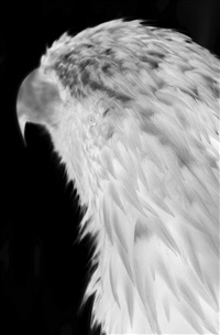 James Tunks | Artnet