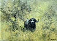 David Shepherd | Artnet