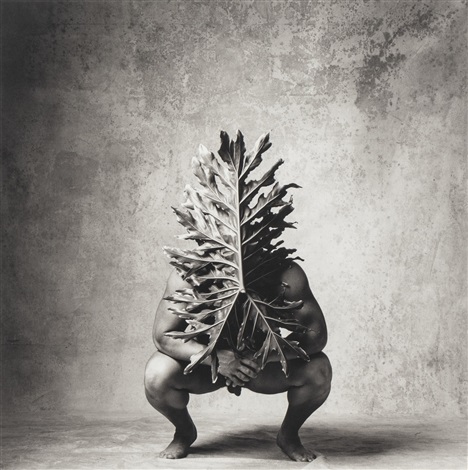 Leaf Face by Blake Little on artnet