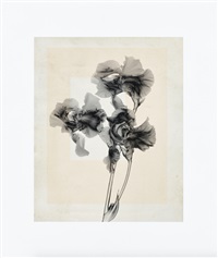 Thomas Ruff | Artnet