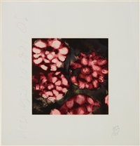 Donald Sultan | Artnet