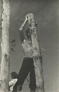 Jared French | Artnet