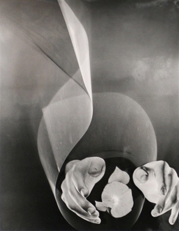 Photogenic Drawing by Lotte Jacobi on artnet