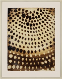 Ross Bleckner | Artnet