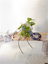 Laura Letinsky | Artnet