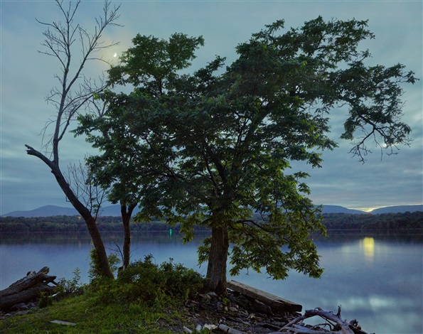 Midwood Landing by Andrew Moore on artnet