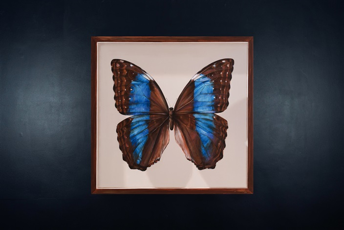 The Square Collection Morpho Deidamia by Mantra on artnet
