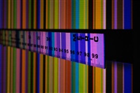 Matthew Biederman | Artnet