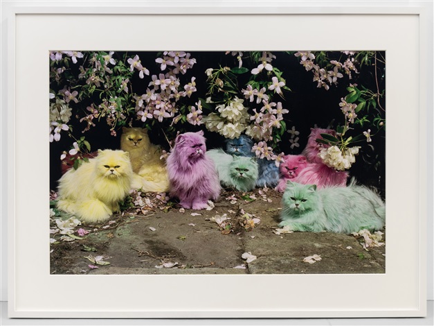 Pastel Cats by Tim Walker on artnet