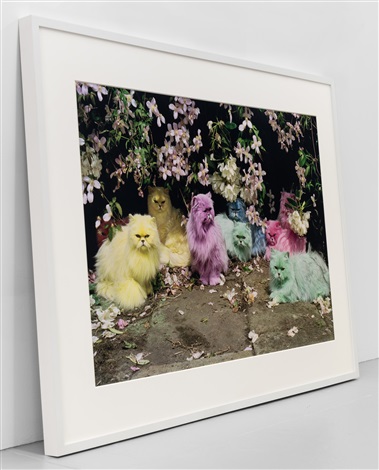 Pastel Cats by Tim Walker on artnet