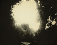 Sally Mann | Artnet