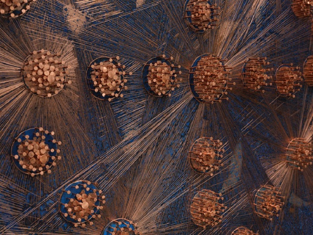 Restin Release by Nari Ward on artnet