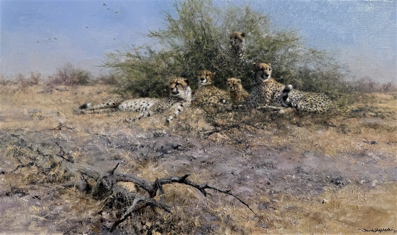 Cheetah by David Shepherd on artnet