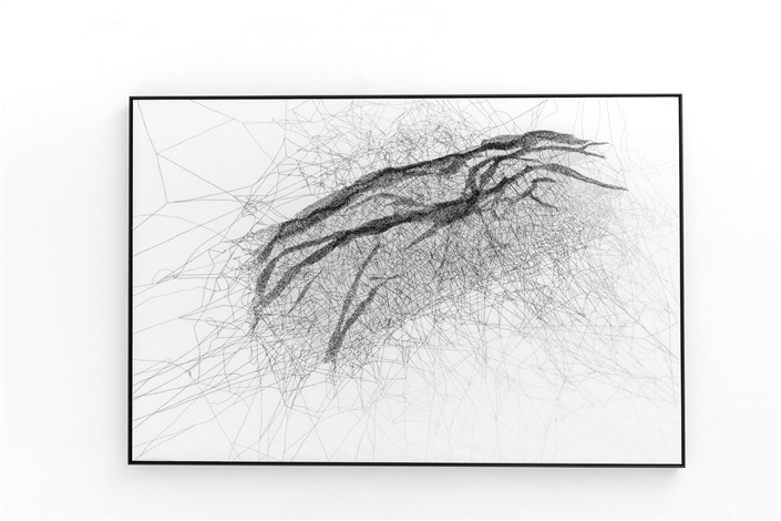 Arachnes handwoven SpiderWeb Map of Cygnus A, with one Nephila clavipes ...