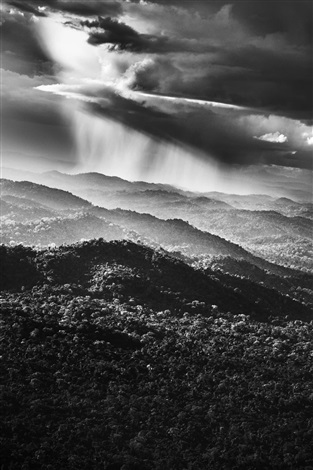 Aerial View of the Auaris Area, in the Parima Mountain Range, Parima ...