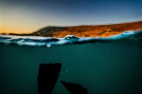 Alexander Sutton | Artnet